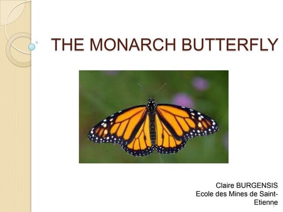 Life cycle of a butterfly | PPTX | Biological Sciences | Science
