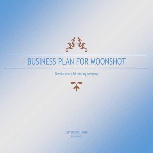 The Moon Shot Project Business Plan | DOCX