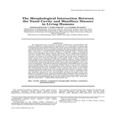 The morphological interaction between the nasal cavity and maxillary sinuses | PDF