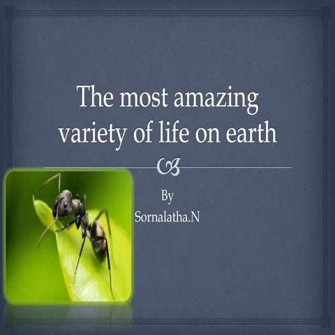 The most amazing variety of life on earth | PPTX