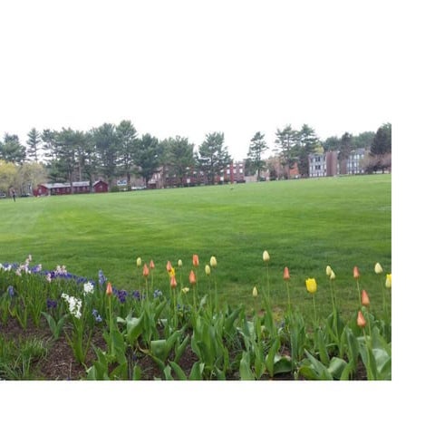 The Most Beautiful Campus Pptx