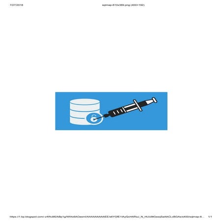 The Most Common Types Of Web Application Injection Attacks Pdf
