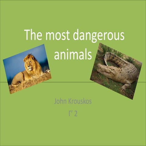 The most dangerous animals | PPTX