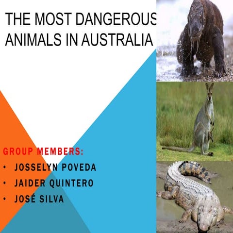 The most dangerous animals in Australia.pptx