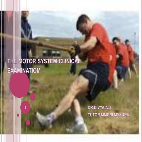 The motor system : clinical examination part 1(except reflexs) | PPTX