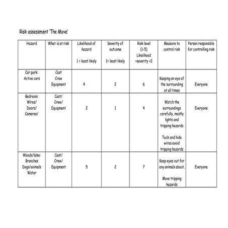 The move risk assessment | DOCX