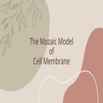 The Mozaic Model_Grade 10 IGCSE ppt lear | PPTX