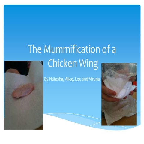 Mummification of a chicken wing | PPT