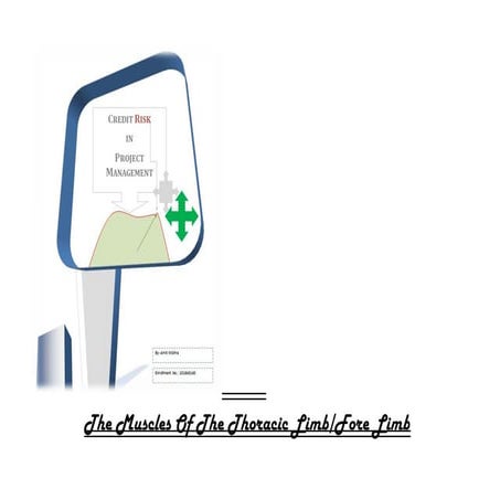 Anatomy of head and cervical region of goat | PPTX