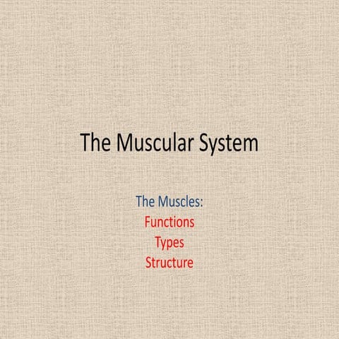 The muscular system | PPT