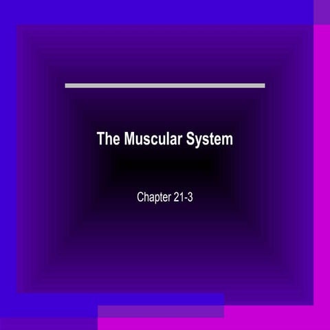The muscular system | PPT