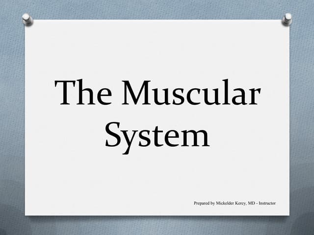 Force summation powerpoint | PPT