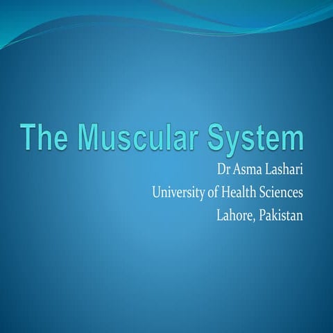 The muscular system | PPT
