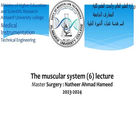 the muscular system 6 (1).docx