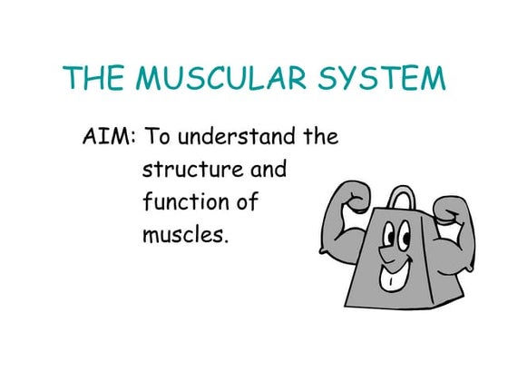 SKELETAL SYSTEM PP for Kids | PPT