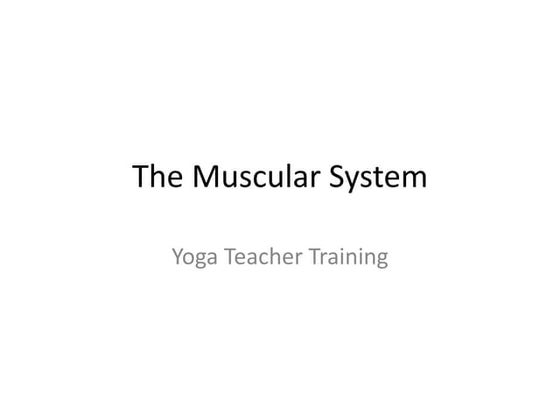 The muscular system powerpoint | PPT