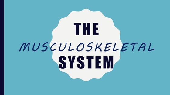 The muscular system powerpoint | PPT
