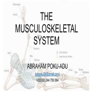 The skeletal system | PPTX