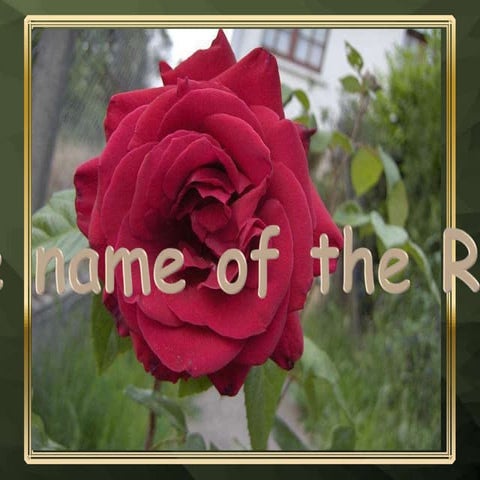 The name of the rose 01 | PPSX