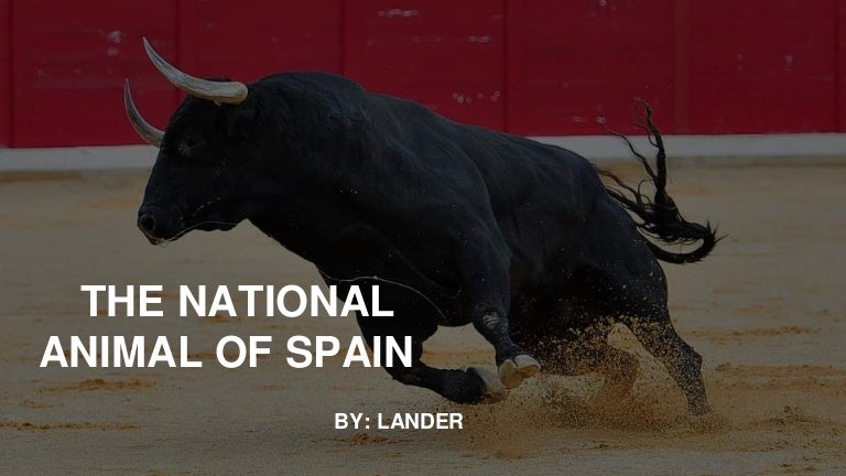 The national animal of spain