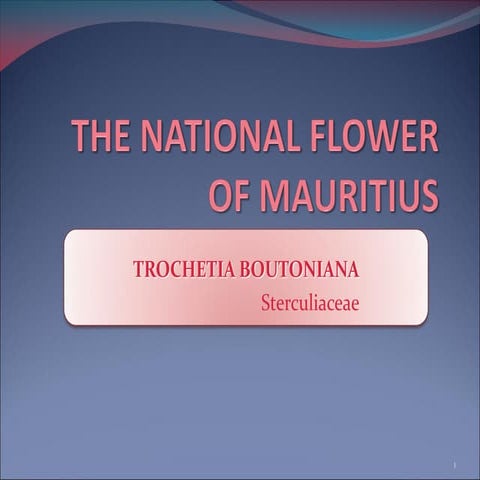 The national flower of mauritius | PDF