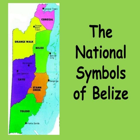 The National Symbols of Belize | PPTX