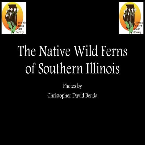 The native wild ferns of southern illinois | PPTX