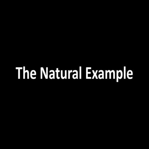 The Natural Example Slides, 6/15/14 | PPT