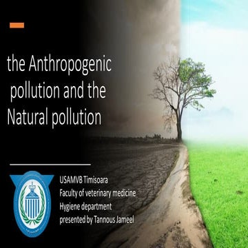 The natural pollution and the anthropogenic pollution | PDF