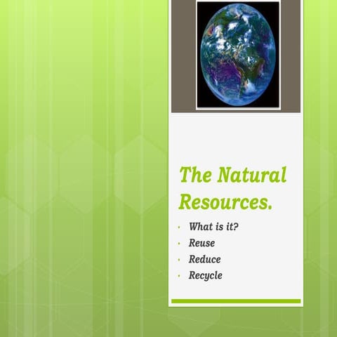 The natural resources | PPTX