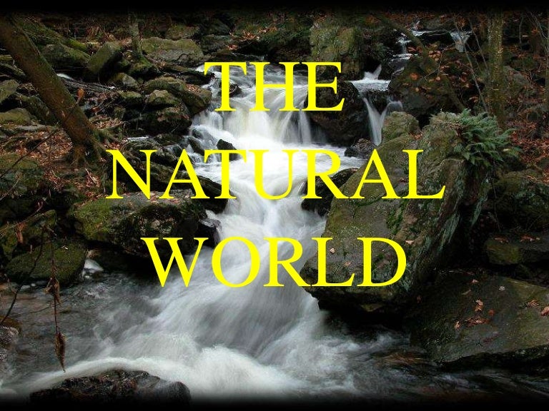 The natural world