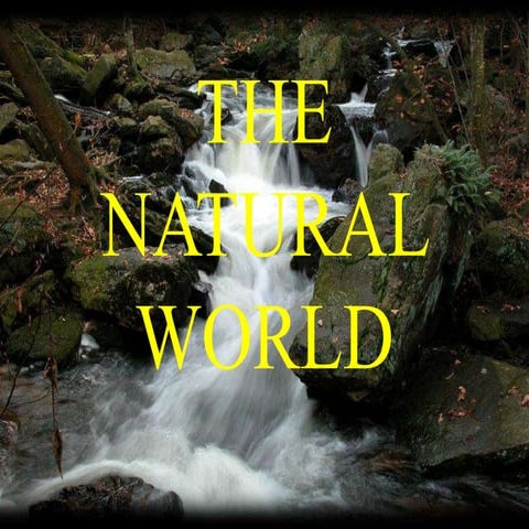 The natural world | PPTX
