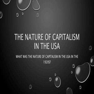 THE NATURE OF CAPITALISM IN THE USA- (final).pptx