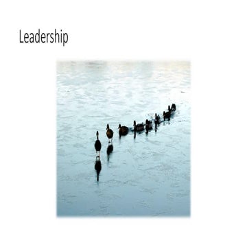 The nature of leadership (Roger Joby) SCOT100915 | PDF