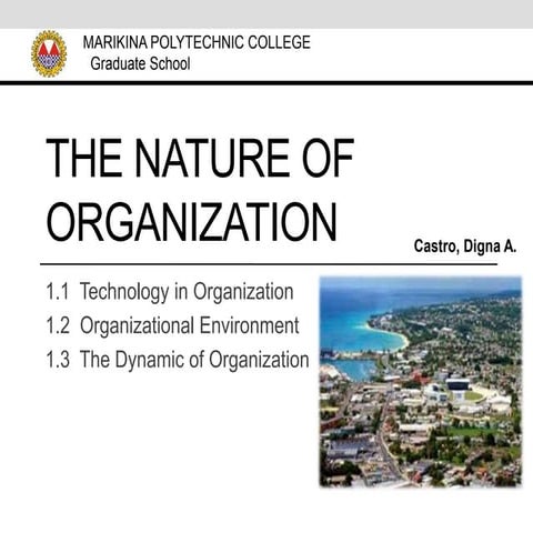 The nature of organization | PPTX