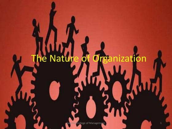 Organization and Management | PPT