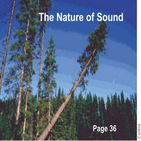 The Nature Of Sound | PPSX