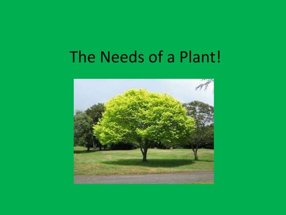 The Parts Of Plants | PPT