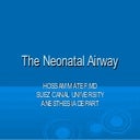 The neonatal airway | PPT