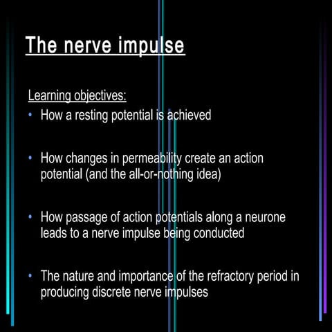 The nerve impulse | PPT