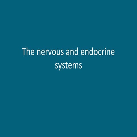 The nervous and endocrine systems 3º ESO | PPT