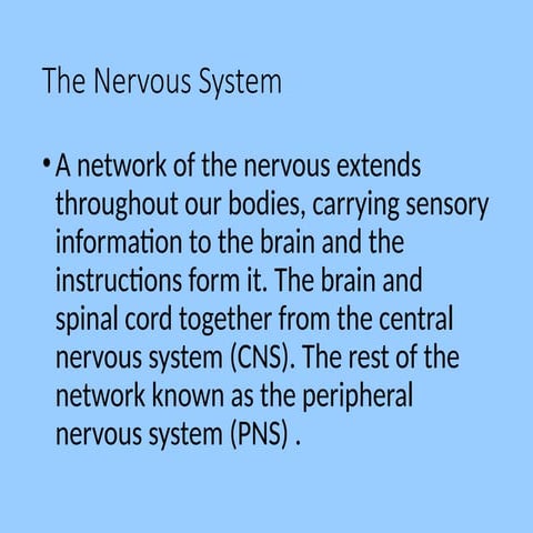 The Nervous Sys-WPS Office.pptxThe Nervous Sys-WPS Office.pptxThe ...