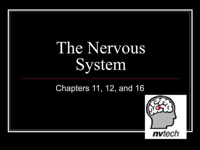 Nervous system of fish; a detailed study | PPTX