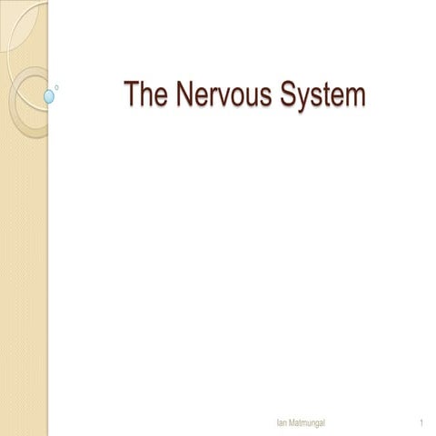The nervous system | PPT