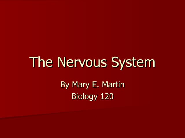Nervous System | PPTX | Brain and Nervous System Disorders | Diseases ...