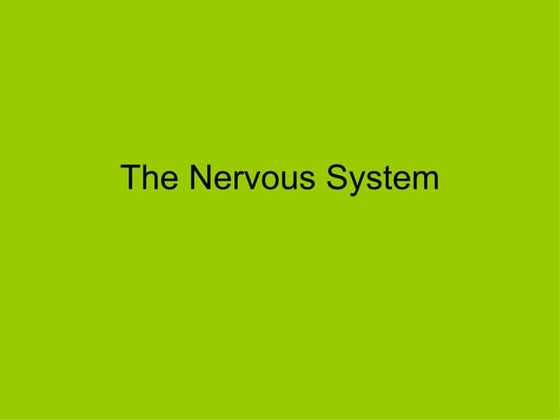 Nervous system PPT for grade 10 (basic concepts regarding human nervous ...