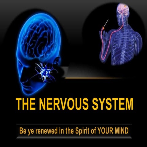 The nervous system | PPT