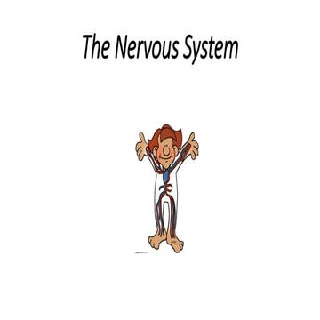 The nervous system | PPTX | Brain and Nervous System Disorders ...