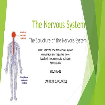 The Nervous System Science 10 lesson for third quarter.pptx