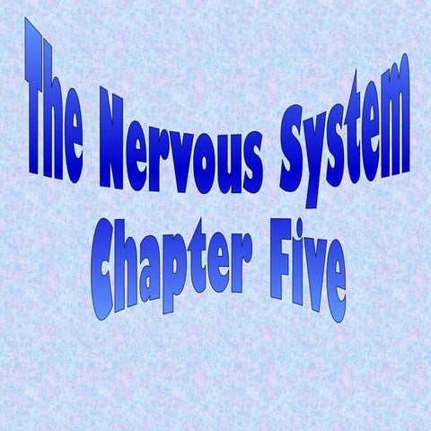 Nervous system class 5 | PPTX